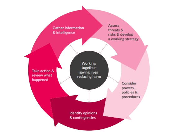 An Introductory Guide to JESIP Principles and Supporting Systems