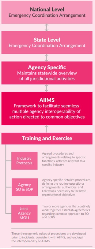A Guide to AIIMS Emergency Management | Noggin